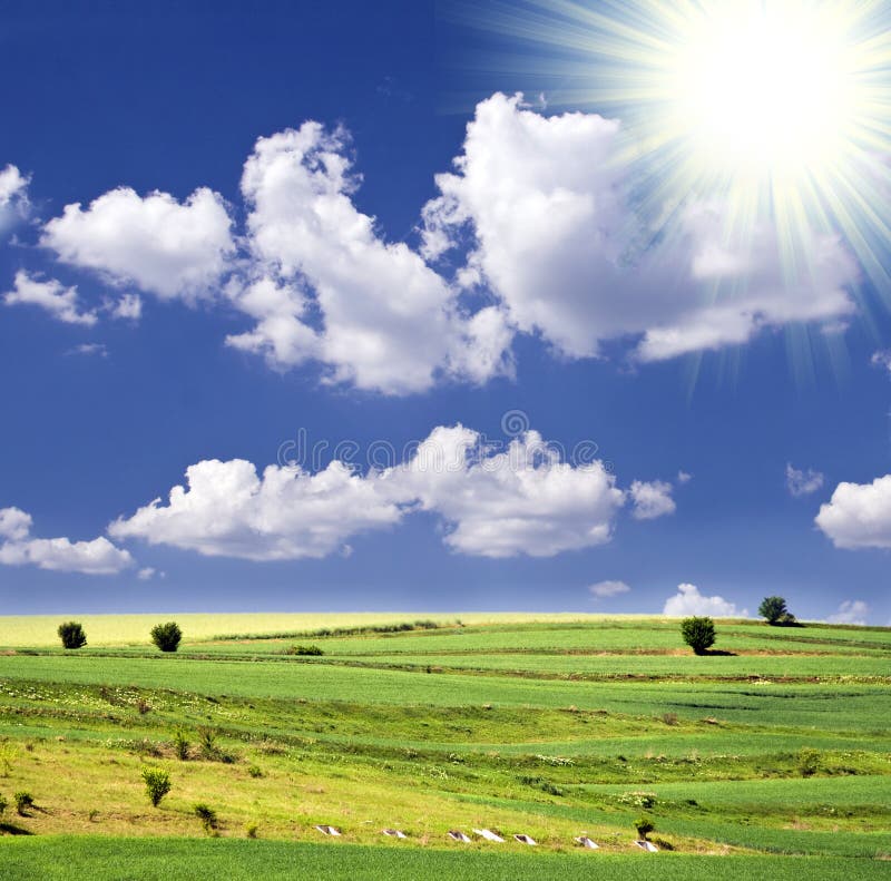 Sunny summer landscape stock photo. Image of grass, meteorology - 13188110