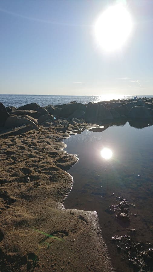 Sunny sun stock photo. Image of happiness, sand, beach - 145038268