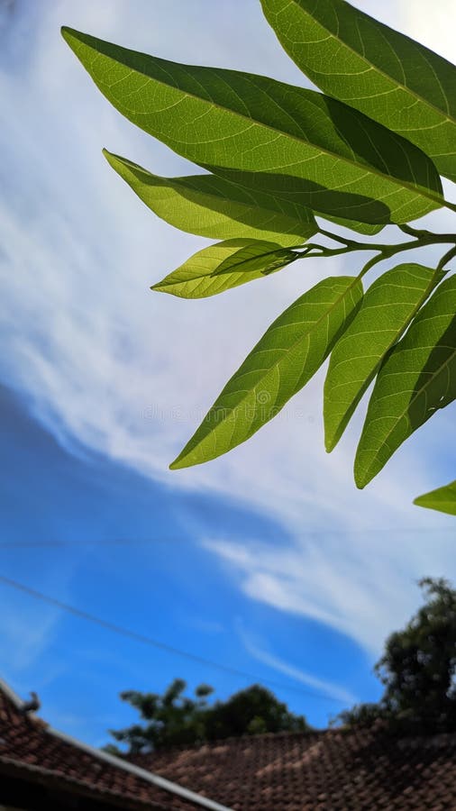 A Sunny Sunday with the Sun so Hot and the Blue Sky so Beautiful Stock ...