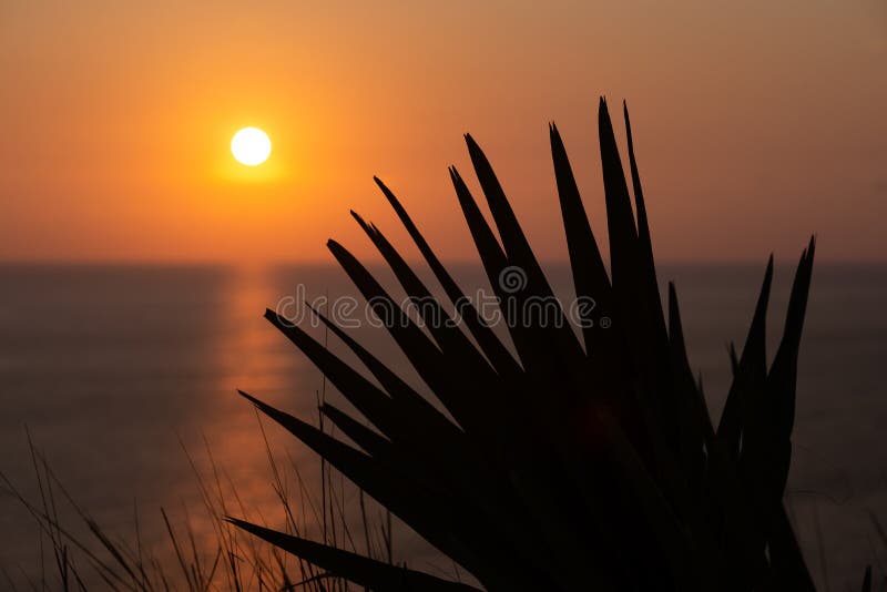 Sunny sunset on the sea stock image. Image of orange - 170078931