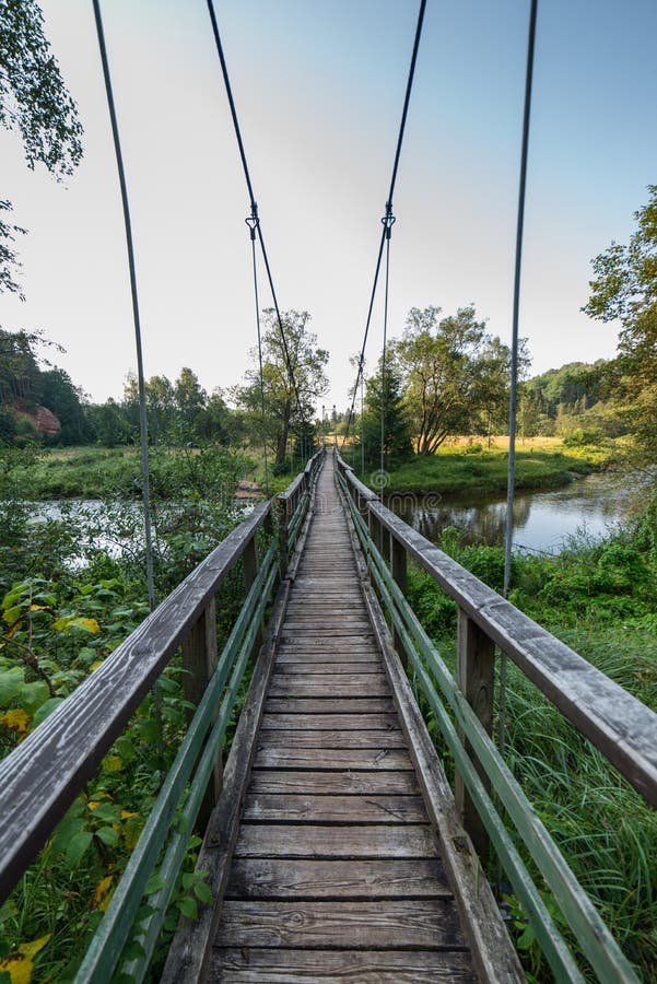 Sunny Tourist Track with Boardwalks Stock Photo - Image of sunny, park ...