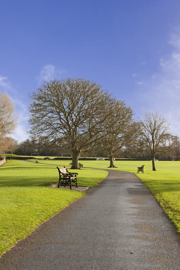 Sunny Tranquil Garden Walkway Stock Photo - Image of green, nature ...