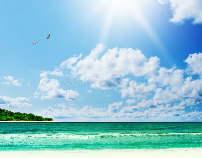 Sunny Tropical Beach on the Island Stock Image - Image of relaxation ...