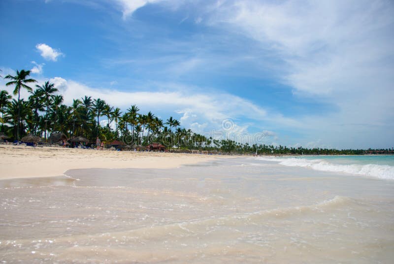Sunny Tropical Beach with Palm and Perfect Sky Stock Image - Image of ...