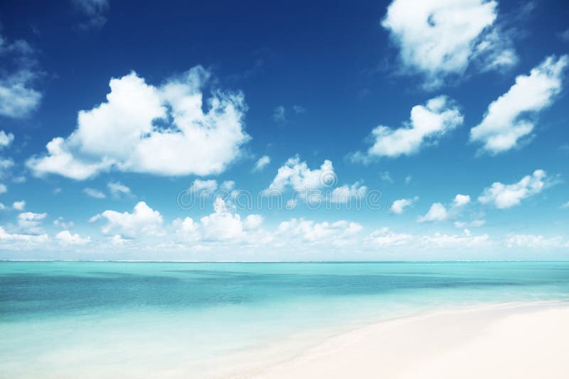 Sunny tropical beach stock image. Image of coast, scene - 87354199
