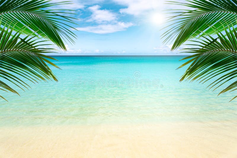 Sunny tropical beach stock photo. Image of sunshine, tropical - 95466544