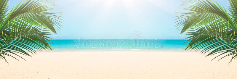 Sunny tropical beach stock photo. Image of island, tree - 95470786