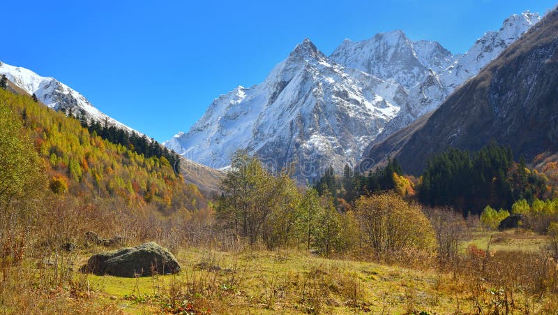 Sunny valley stock photo. Image of grass, russia, pine - 35883822