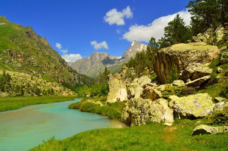 Sunny valley stock photo. Image of beauty, bush, green - 33126338