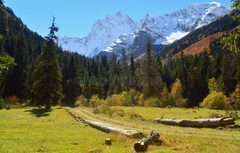 Sunny valley stock image. Image of peak, birch, caucasus - 34589755