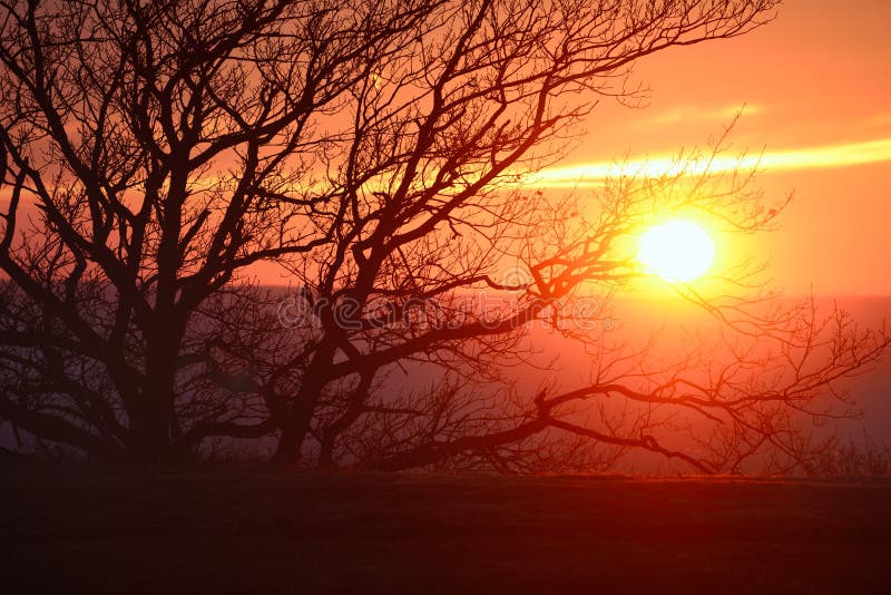 Sunny View Of River From Island Stock Image - Image of peaceful ...