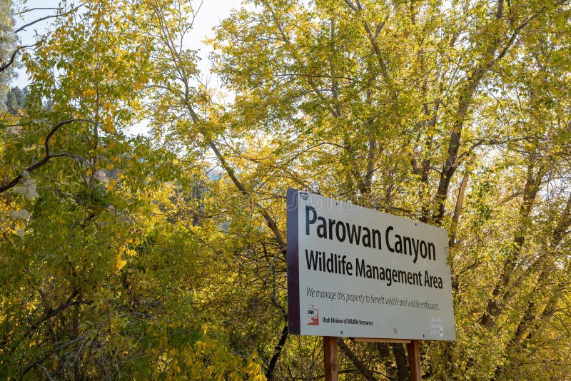 Sunny View of Beautiful Fall Color Around Parowan Canyon Editorial ...