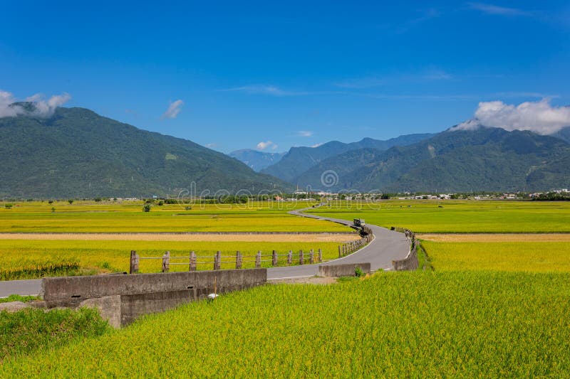 Sunny View of the Beautiful Rice Paddy Field at Chishang Stock Photo ...