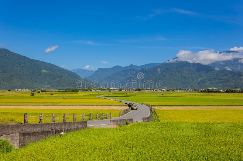 Sunny View of the Beautiful Rice Paddy Field at Chishang Stock Photo ...