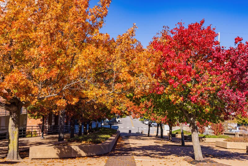 Sunny View of Downtown Fall Color Cityscape Stock Image - Image of ...