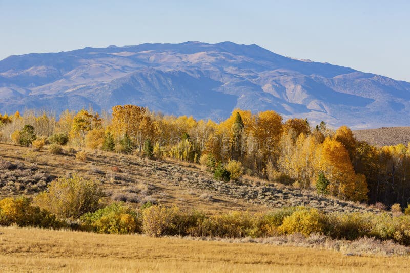 Sunny View of the Fall Color Around Conway Summit Stock Image - Image ...
