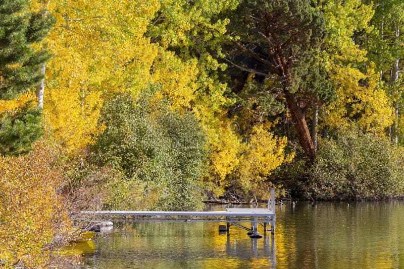 Sunny View of the Fall Color in June Lake Loop Stock Photo - Image of ...
