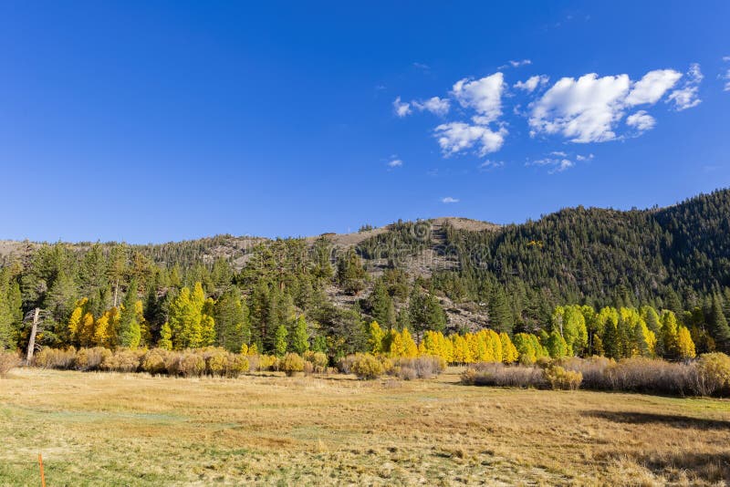 Sunny View of the Fall Color in June Lake Loop Stock Photo - Image of ...