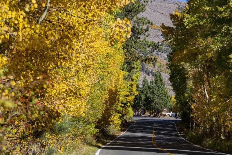 Sunny View of the Fall Color in June Lake Loop Stock Photo - Image of ...