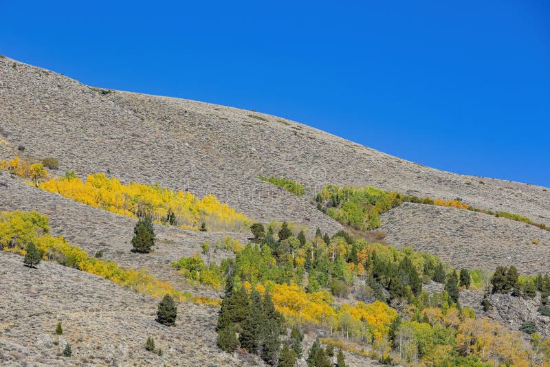 Sunny View of the Fall Color in June Lake Loop Stock Image - Image of ...