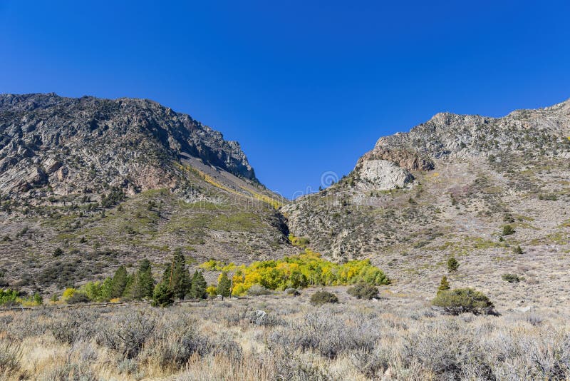 Sunny View of the Fall Color in June Lake Loop Stock Photo - Image of ...