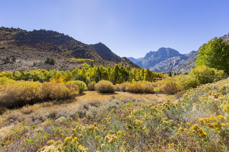 Sunny View of the Fall Color in June Lake Loop Stock Image - Image of ...