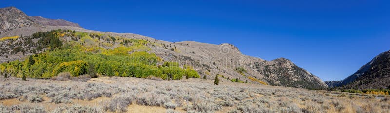 Sunny View of the Fall Color in June Lake Loop Stock Image - Image of ...