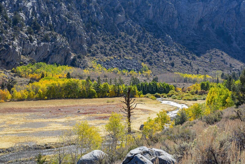 Sunny View of the Fall Color in June Lake Loop Stock Photo - Image of ...