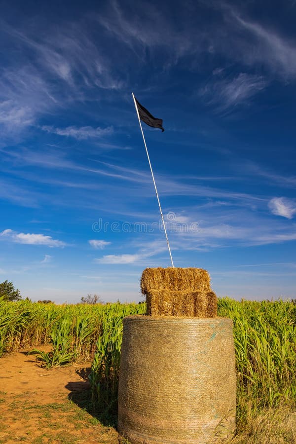 Sunny View of the Fun Daze in a Maze Stock Image - Image of daytime ...