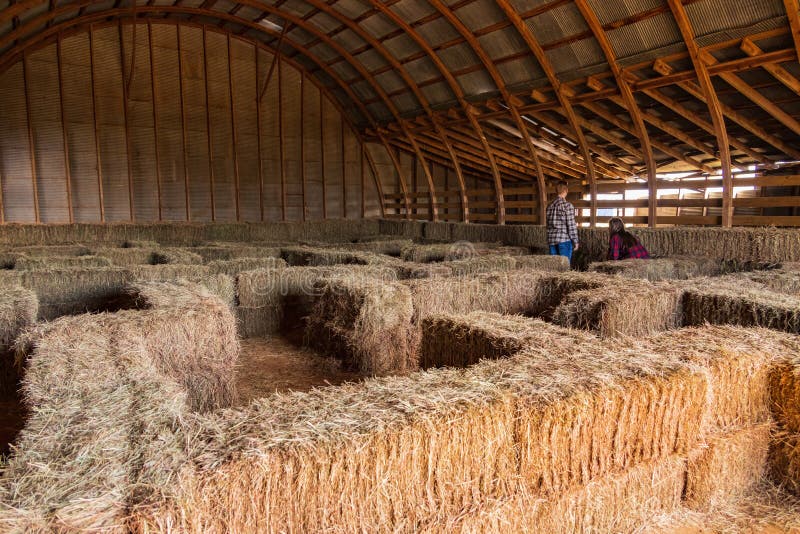 Sunny View of the Fun Daze in a Maze Editorial Image - Image of natural ...