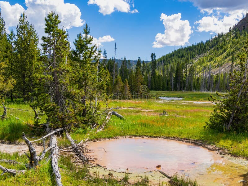 Sunny View of the Landscape of Black Sand Basin Stock Photo - Image of ...
