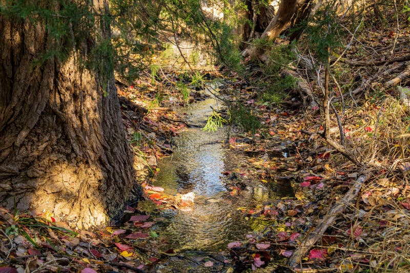 Sunny View of the Landscape Inside the Boiling Springs State Park Stock ...