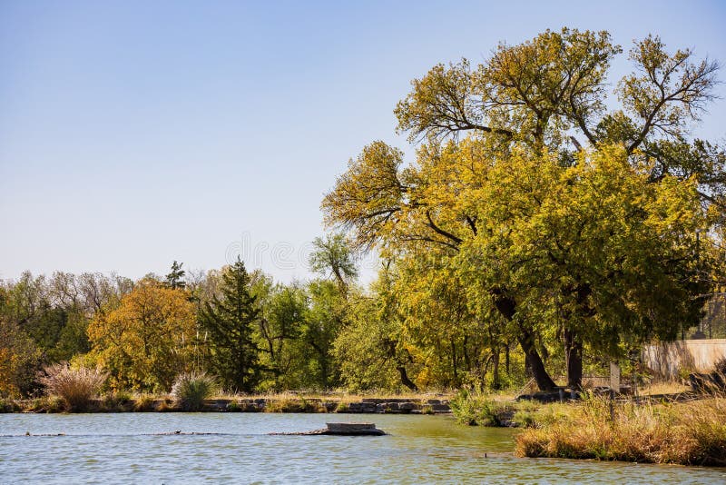 Sunny View of the Landscape Inside the Boiling Springs State Park Stock ...