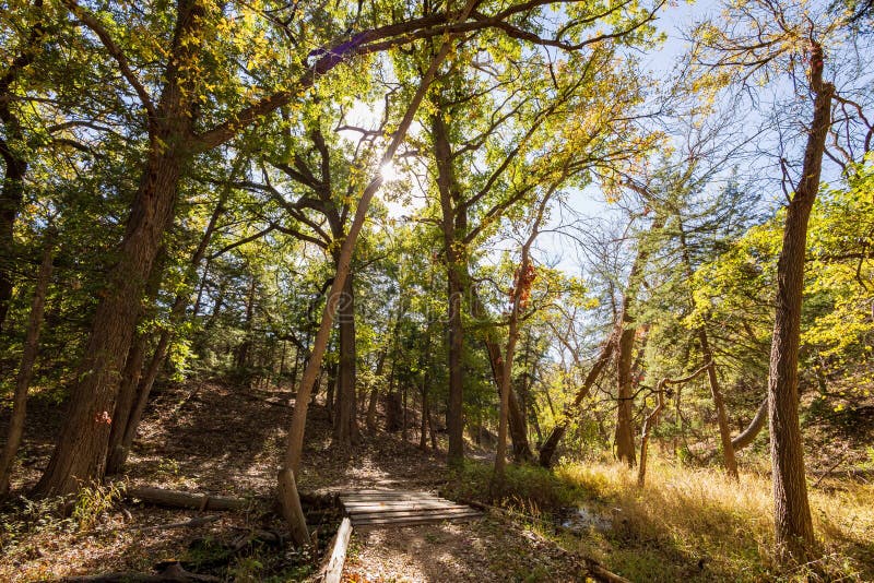Sunny View of the Landscape Inside the Boiling Springs State Park Stock ...