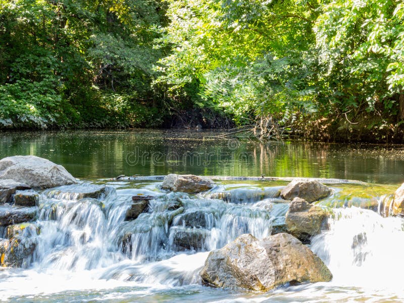 Sunny View of the Landscape of Prairie Creek Park Stock Photo - Image ...