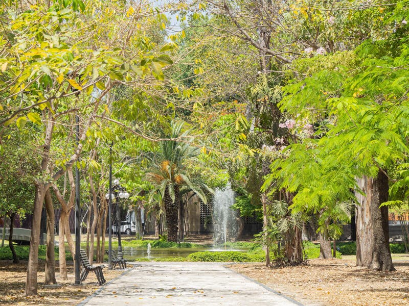 Sunny View of the Parque Agua Azul Park Stock Photo - Image of nature ...