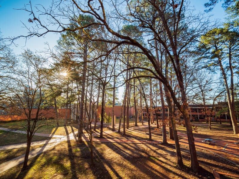 Sunny View of the Ross Hell of University of Arkansas Stock Image ...