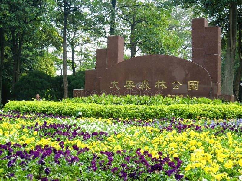 Sunny View of the Sign of Daan Forest Park Editorial Photography ...