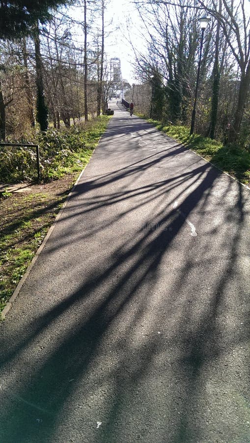Sunny walk stock image. Image of path, walk, summer, trees - 54258543