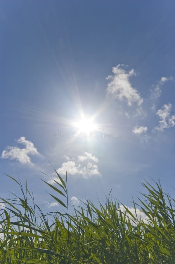 Sunny warm Summer sky stock photo. Image of firmament - 5439882