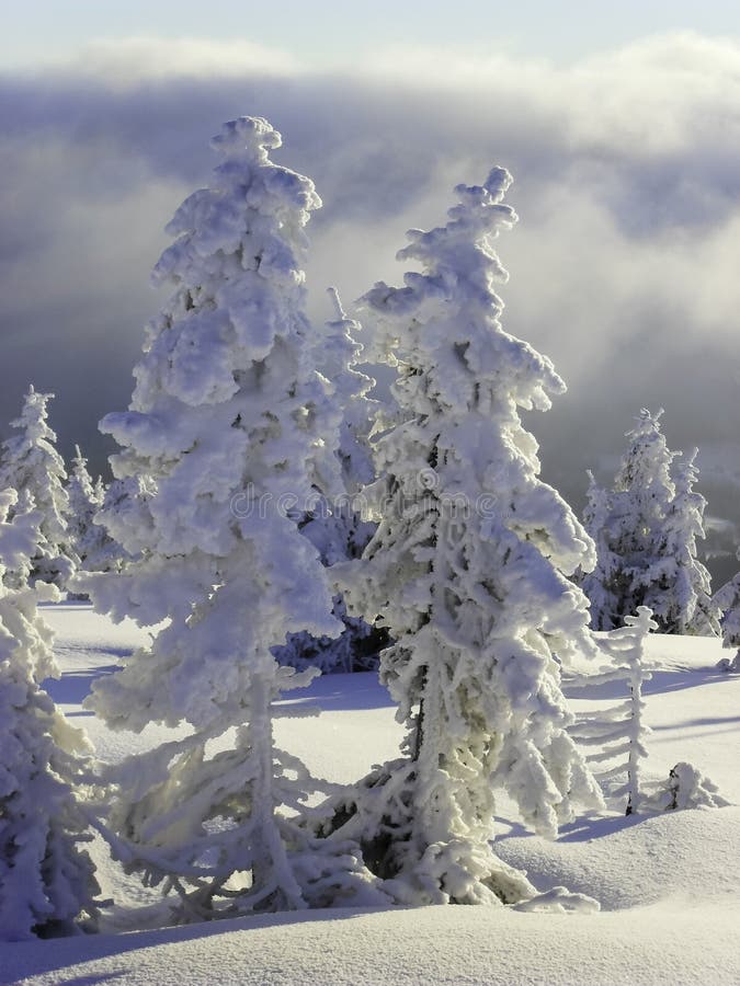 Sunny Weather in the Land of Ice Stock Photo - Image of beautiful, cool ...