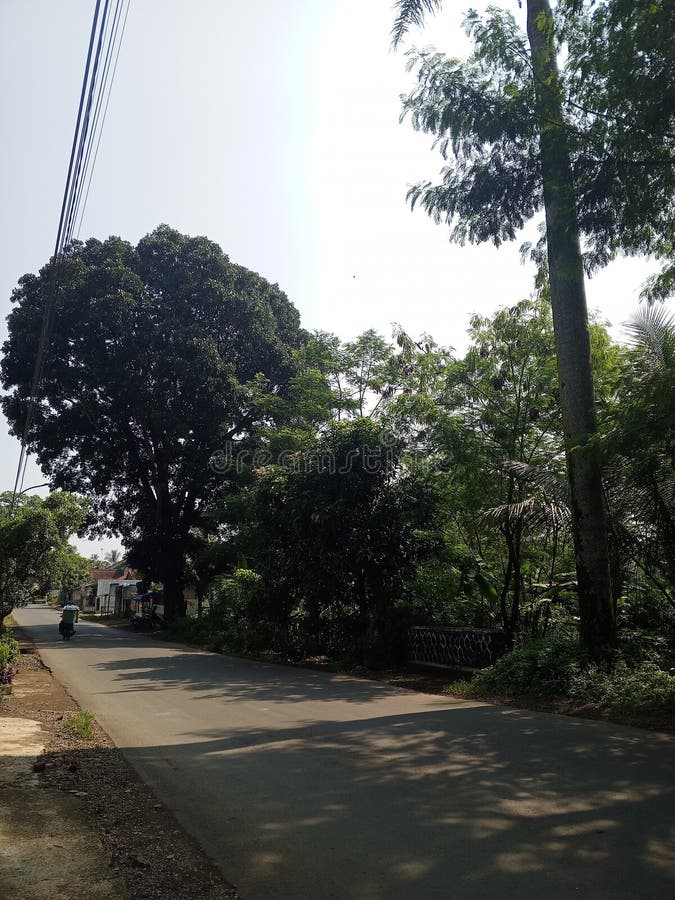 Sunny Weather on the Side of the Road in My Village Stock Image - Image ...
