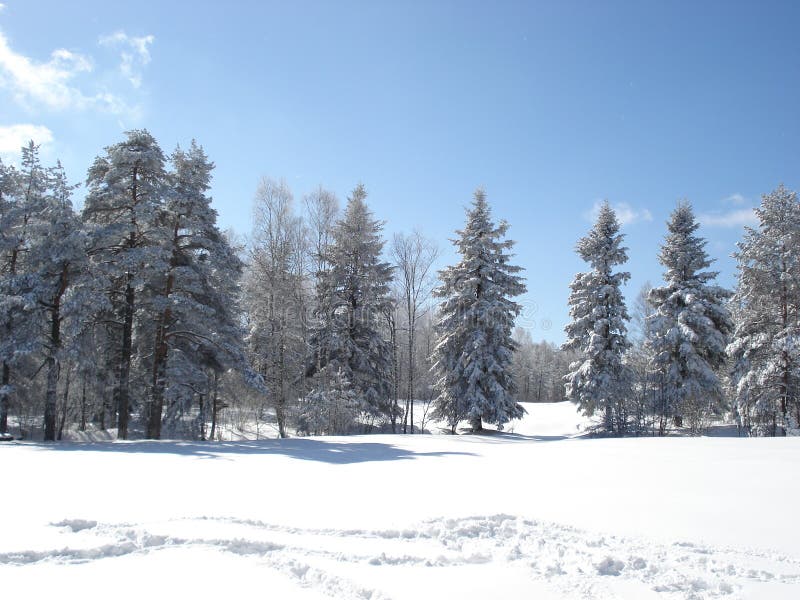 Sunny winter day stock photo. Image of peace, path, silence - 4407900