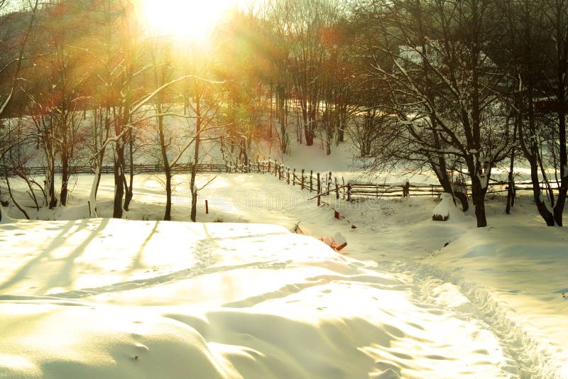 Sunny Winter Day in the Countryside Stock Photo - Image of ...