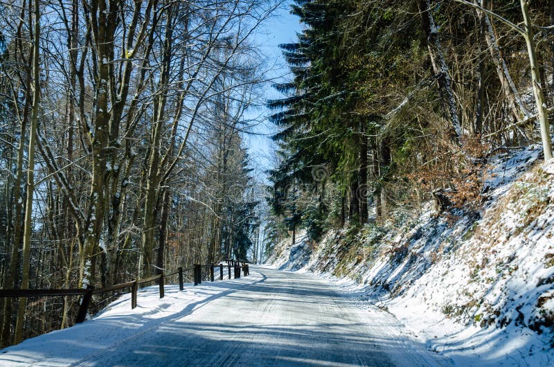Sunny winter day in road stock photo. Image of woodland - 81666286