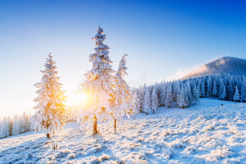 Sunny Winter Landscape photo stock. Image du vacances - 68485894