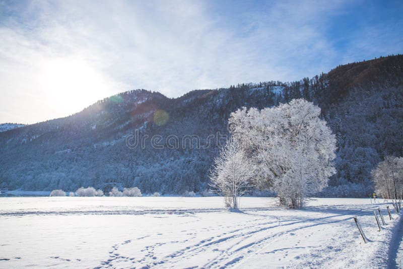 Sunny Winter Landscape in the Alps: Mountain Range, Snowy Trees and ...
