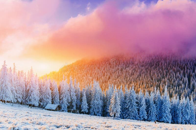 Sunny winter landscape stock photo. Image of cold, rime - 68485544