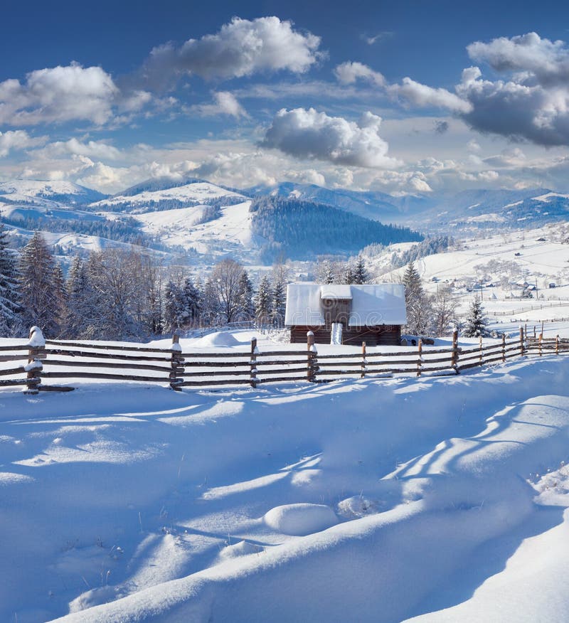 Sunny Winter Morning in Mountain Forest. Stock Image - Image of frost ...
