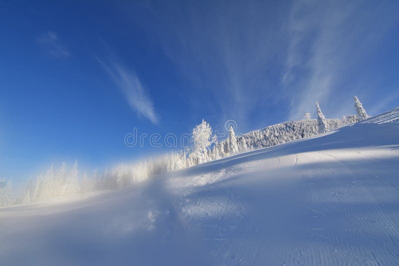 Sunny winter landscape stock photo. Image of frozen, background - 82105722